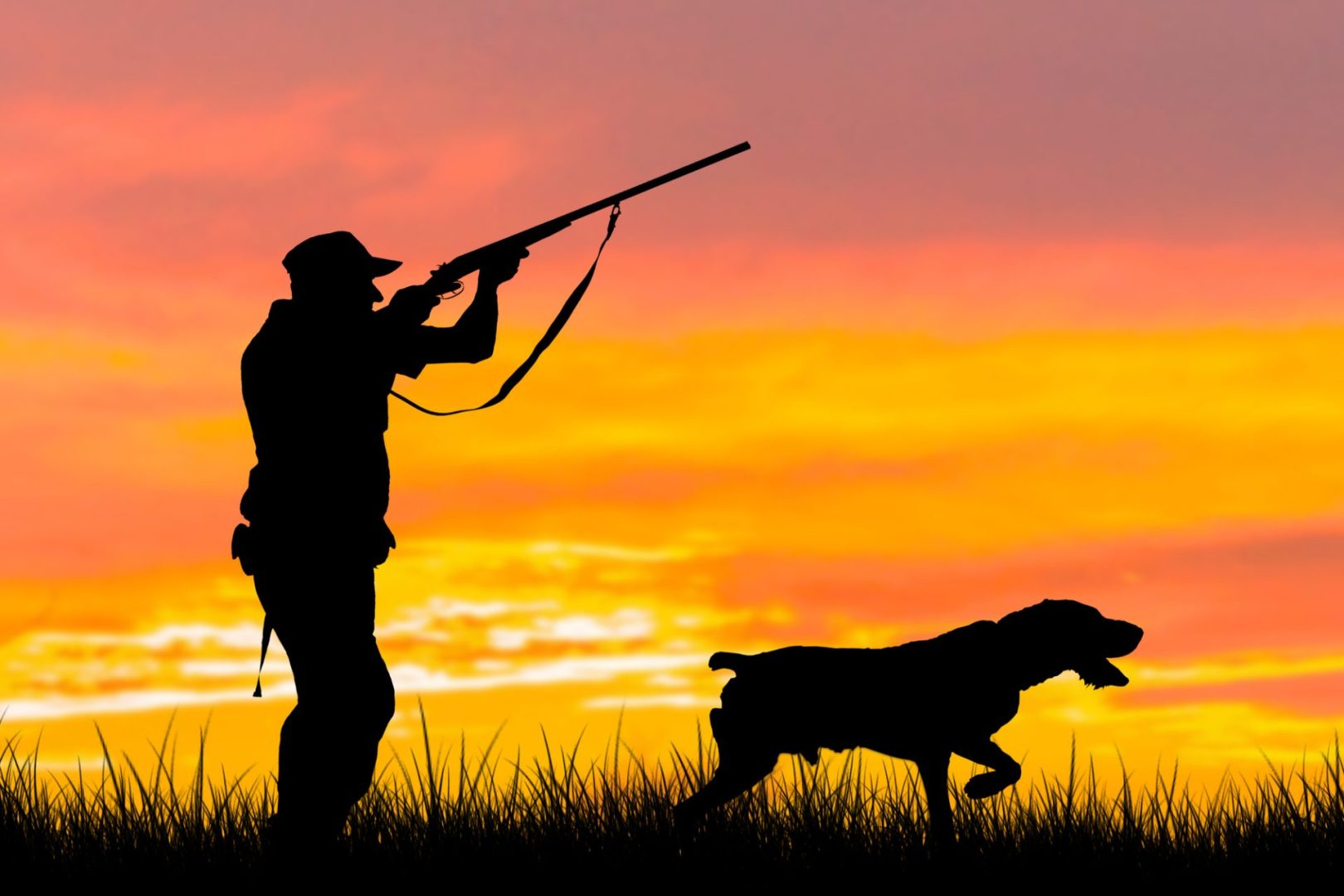 Ohio DNR Sets State’s 2024–25 Hunting and Trapping Seasons, Regulations ...